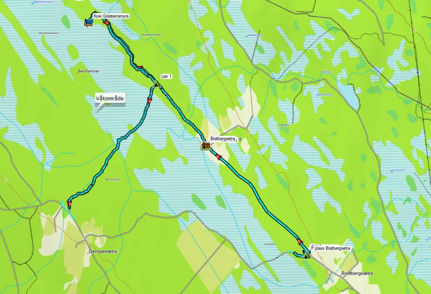 Tursti på Gråsteinsmyra - Biri
