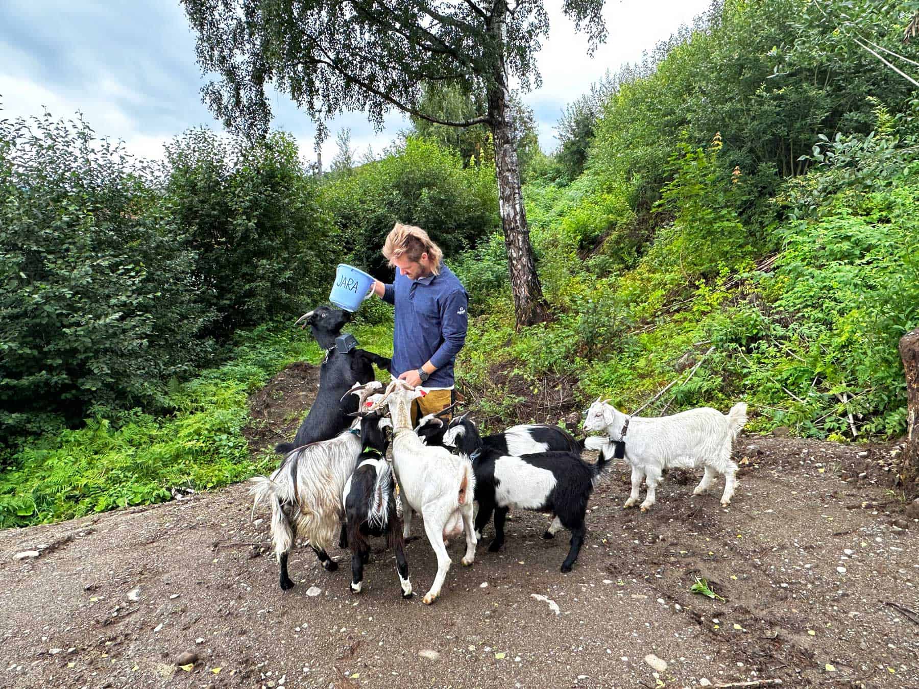 Miljøvennlige gressklippere gir støtte - Biri